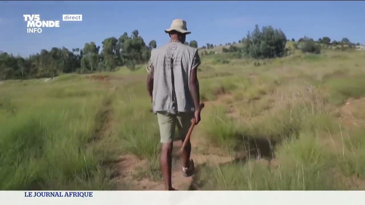 Une randonnée à Soweto en Afrique du Sud